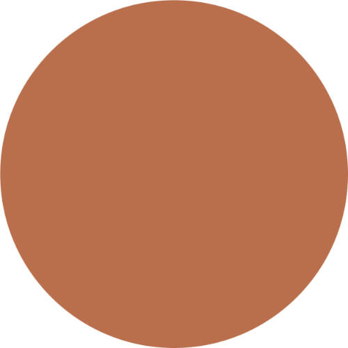 Color - Identity - Grand Valley State University